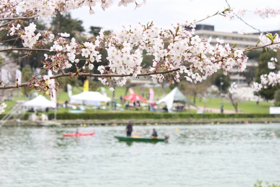 In Italian, “primavera” is the word to describe the beautiful season of ...